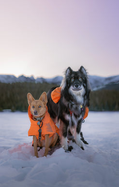 Milo Grab Tab - 9 + 10mm – Litto Howler