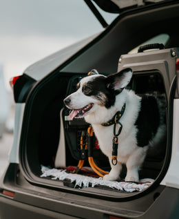 Milo Grab Tab - 9 + 10mm – Litto Howler